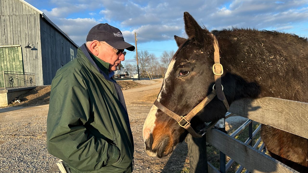 Old Friends Farm CEO stepping down from managerial roles