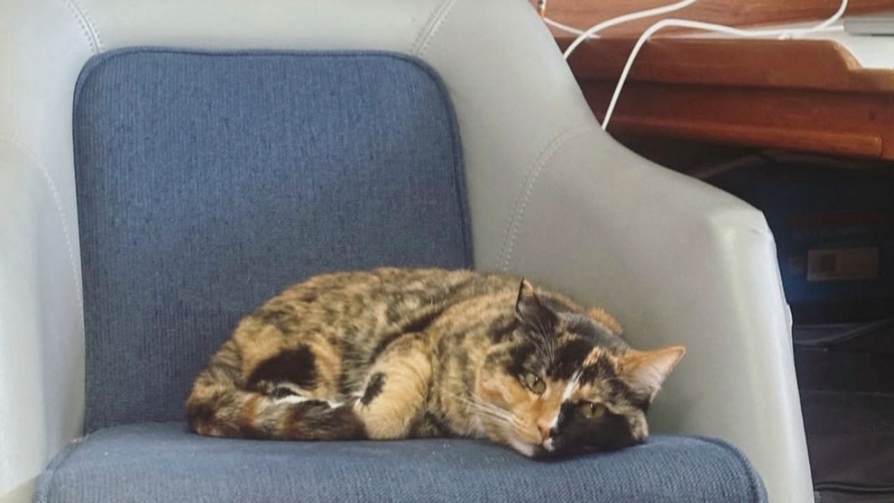 Sailing from Oregon to Hawaii