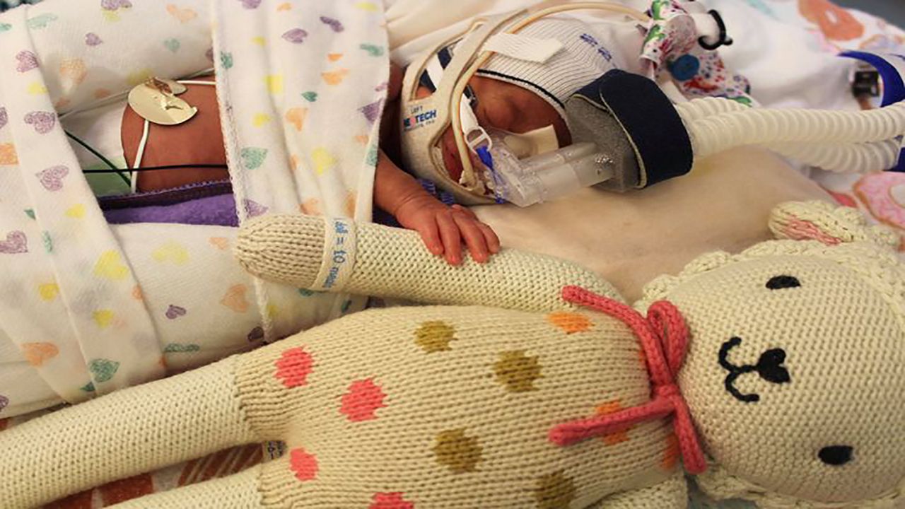 Couple Reflects One Year Later on Premature Birth Journey