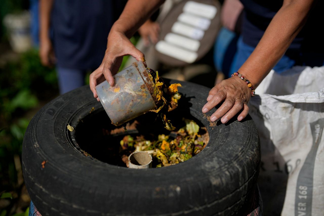 Waste pickers collect food waste, help combat climate change
