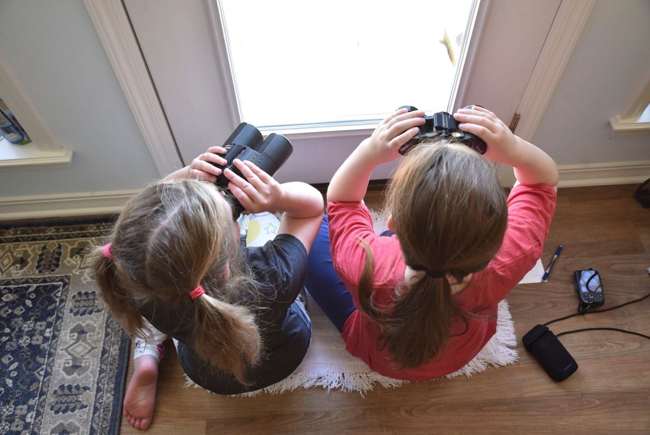 At 25, Backyard Bird Count shows power of 'citizen science'