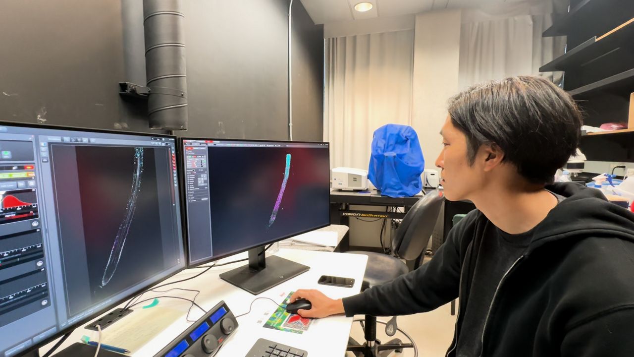 Researchers use 3D map to create climate resilient plants