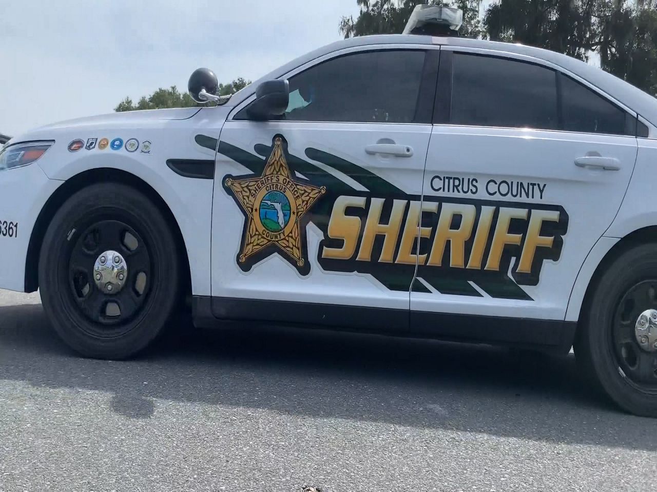 Rise in Citrus County animal cruelty cases explained