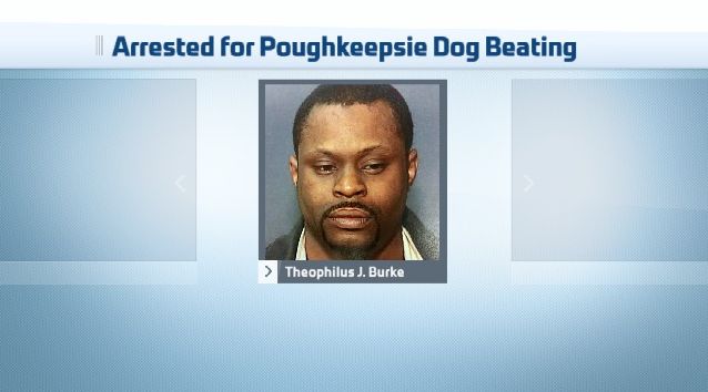 Poughkeepsie Man Accused of Beating Dog Turns Himself In