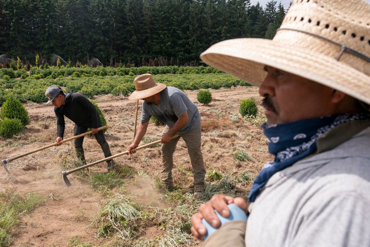 Oregon adopts most protective heat rules for workers in US