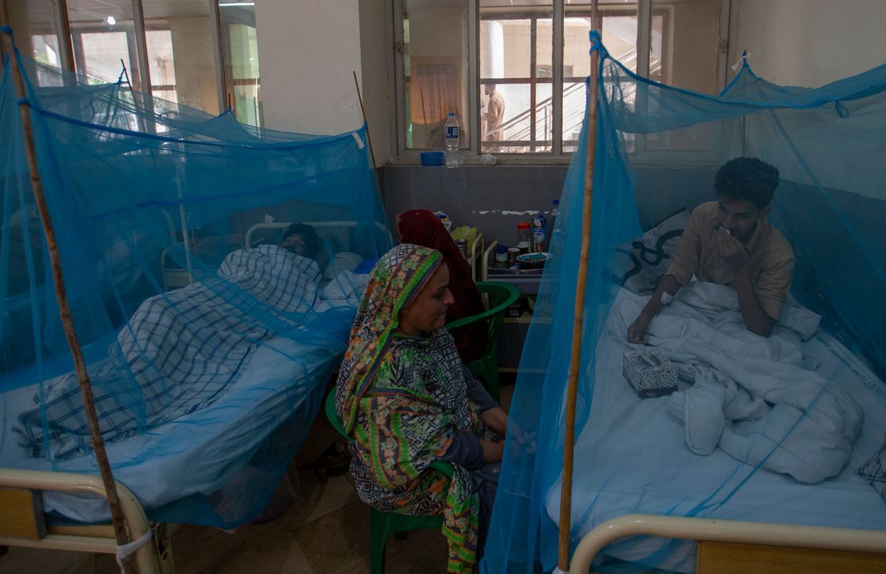 Pakistani officials say outbreak of dengue fever kills 20