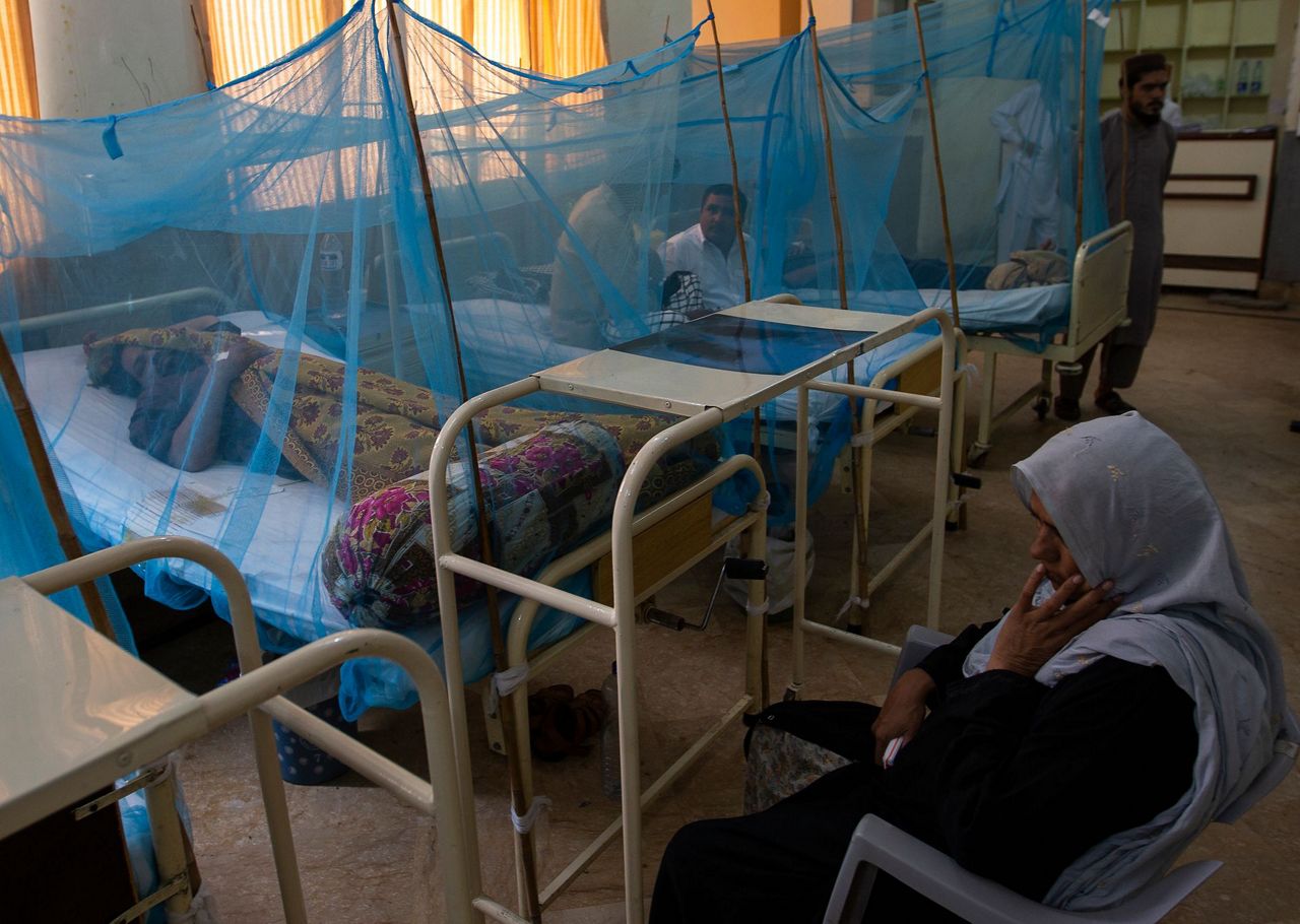 Pakistani officials say outbreak of dengue fever kills 20