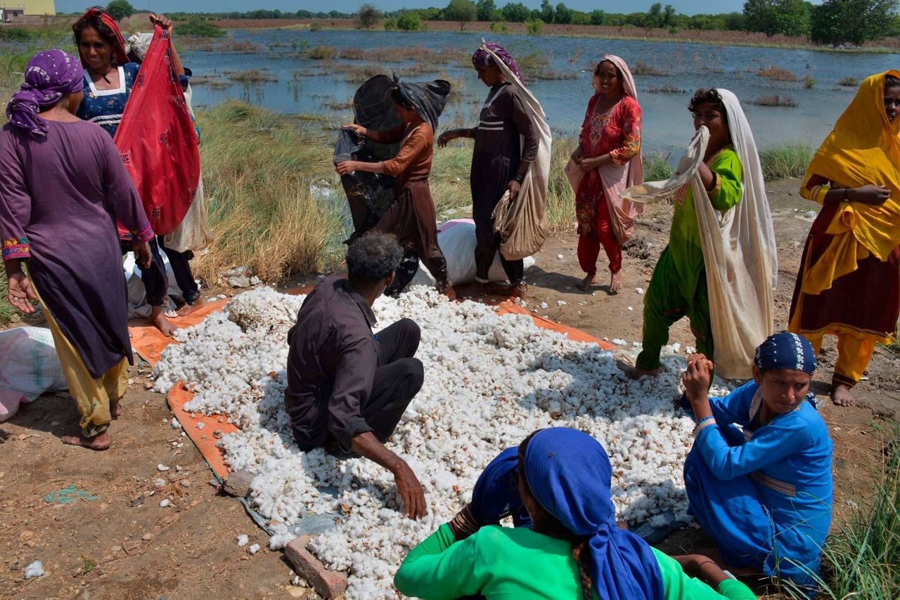 Pakistani FM says water receded 50% in flood-ravaged Sindh