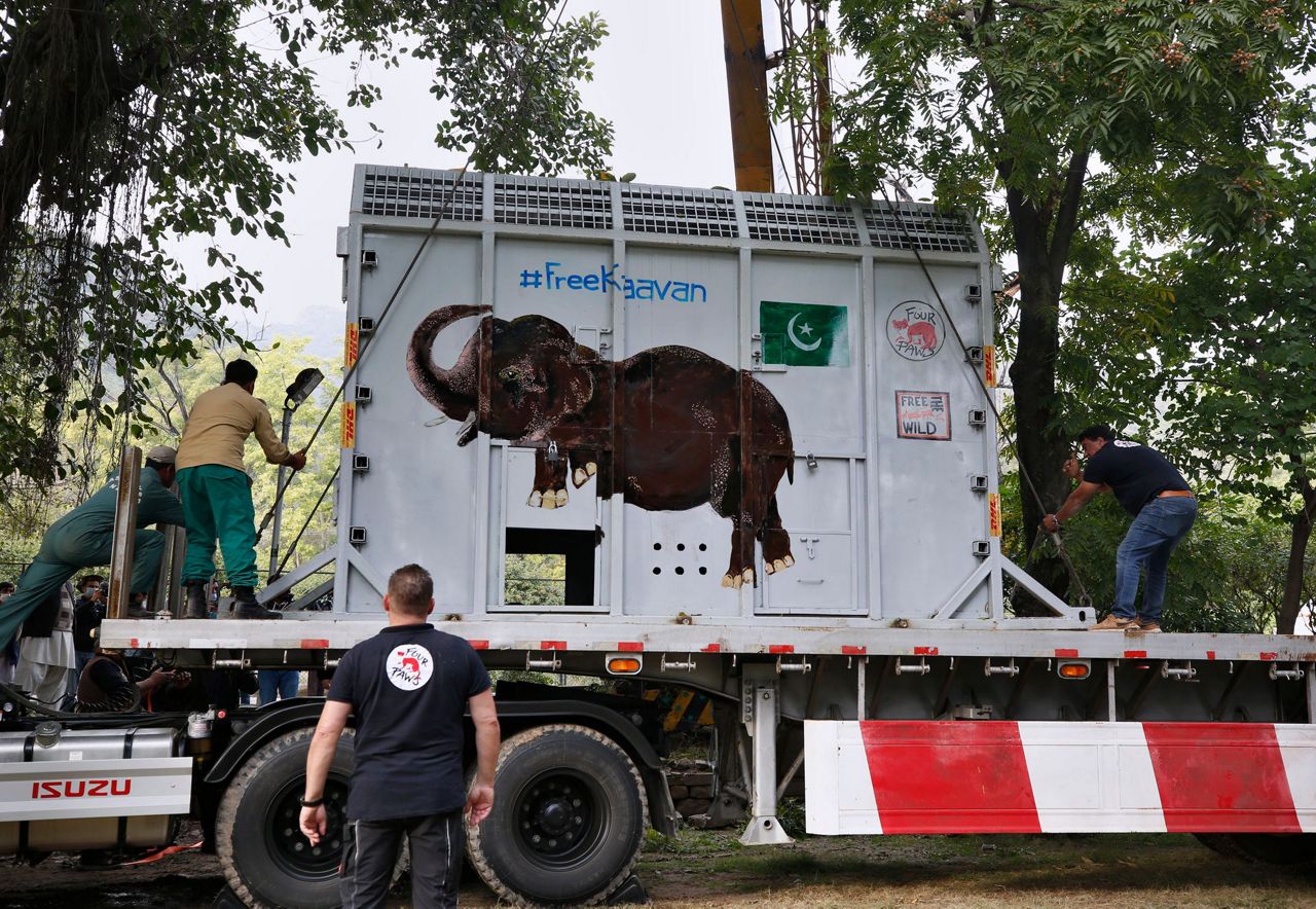 'World’s loneliest elephant' arrives safely in Cambodia
