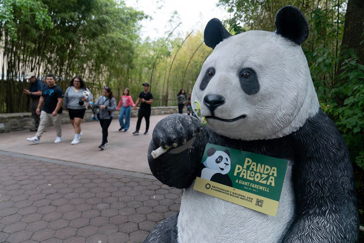 Panda Diplomacy: The departure of DC's beloved pandas may signal a ...