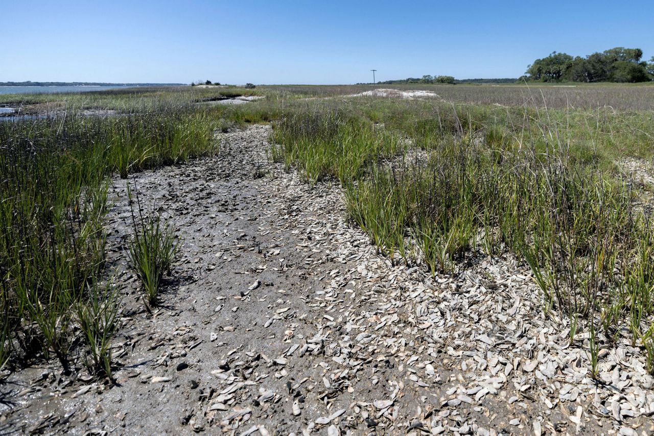 Parris Island wages battles, not war, against climate change