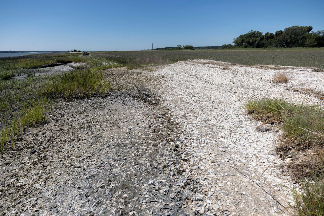 Parris Island wages battles, not war, against climate change