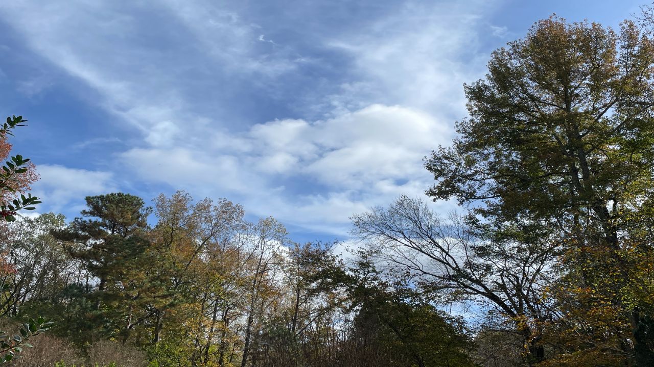 Your Capital Region Forecast