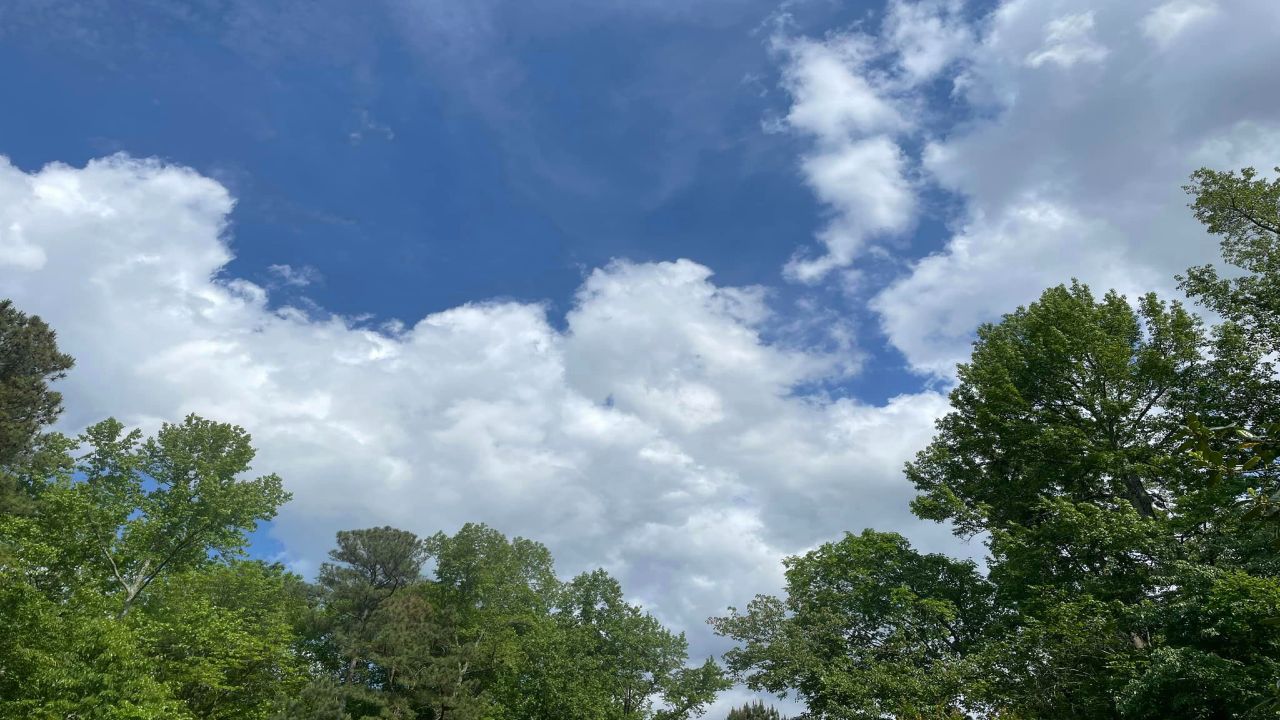 Latest forecast for Raleigh and Central North Carolina