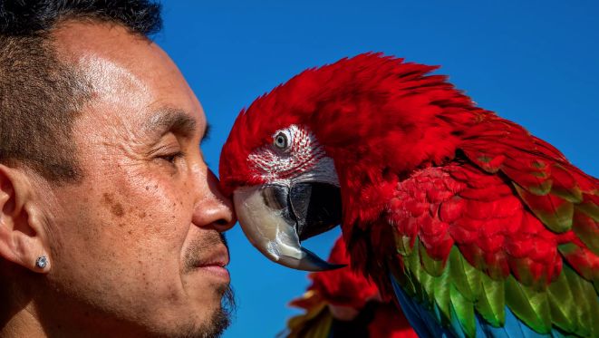 Chan the Bird Man helps LA love birds