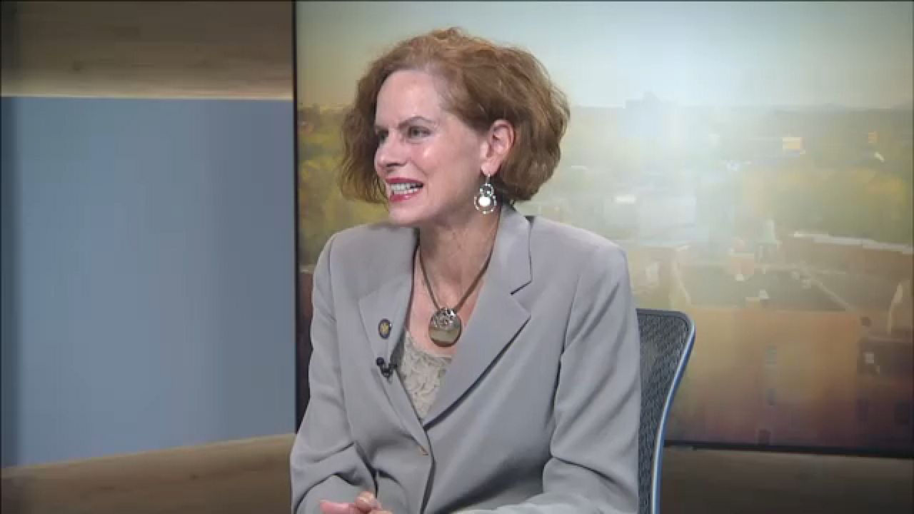 Assemblymember Pat Fahy discusses Albany Skyway project