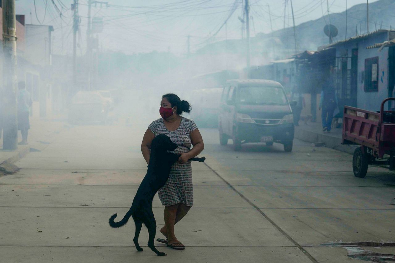 Dengue cases in Peru are surging, fueled by mosquitoes and high ...