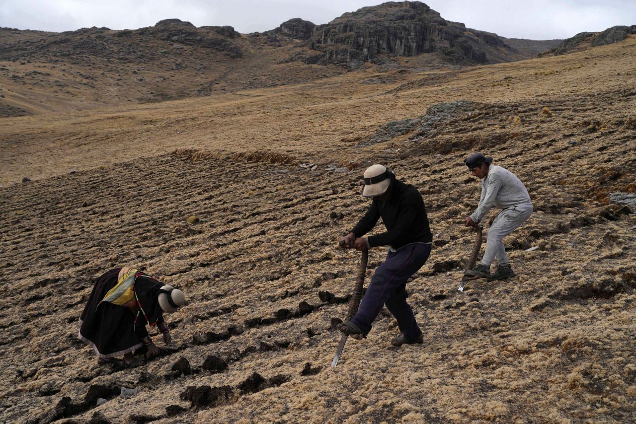 Lagoon dries up as drought grips Peru's southern Andes