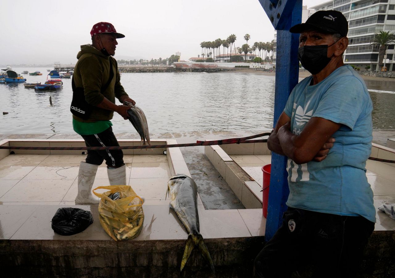 Peru: 21 beaches polluted by spill linked to Tonga eruption