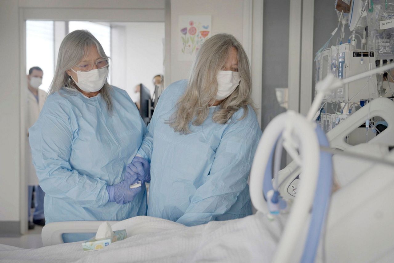 Pig kidney works a record 2 months in donated body, raising hope for ...