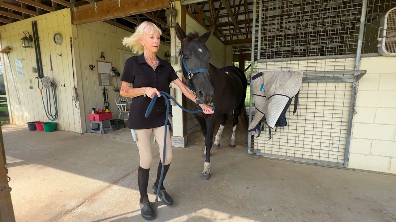 Pine Ridge becoming known for its equestrian community