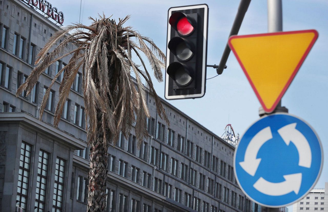Warsaw's plastic palm tree 'dies' to mark climate threat