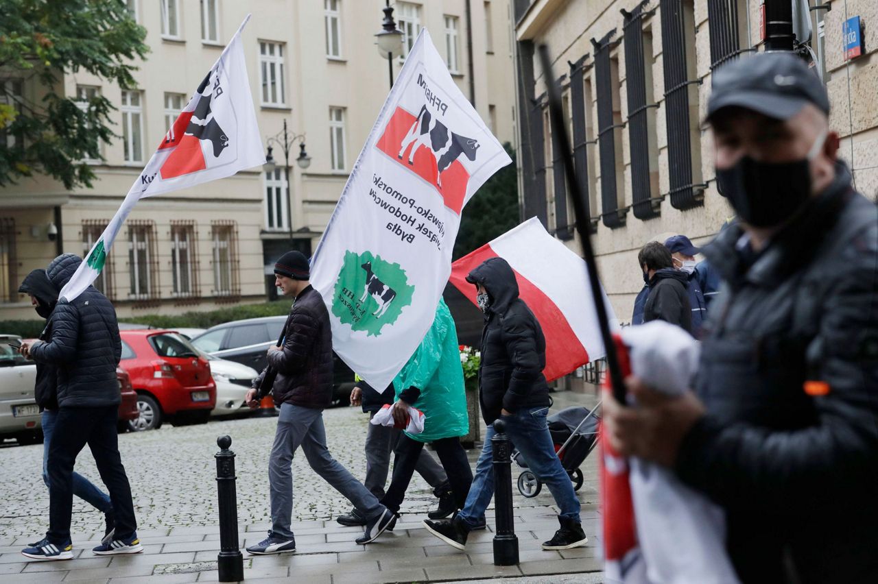 Polish farmers protest planned animal welfare law