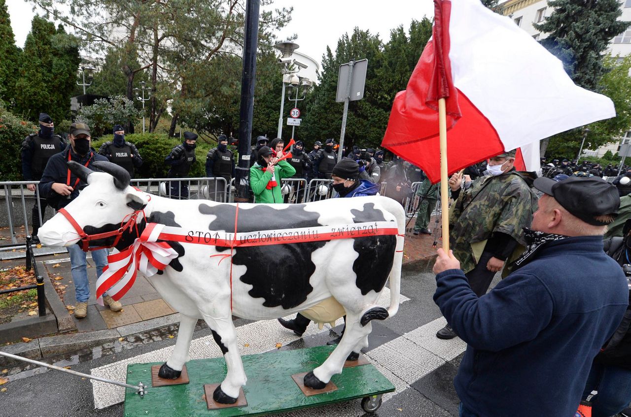 Polish farmers protest planned animal welfare law