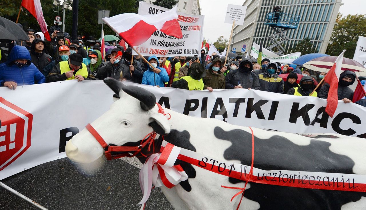 Polish farmers protest planned animal welfare law