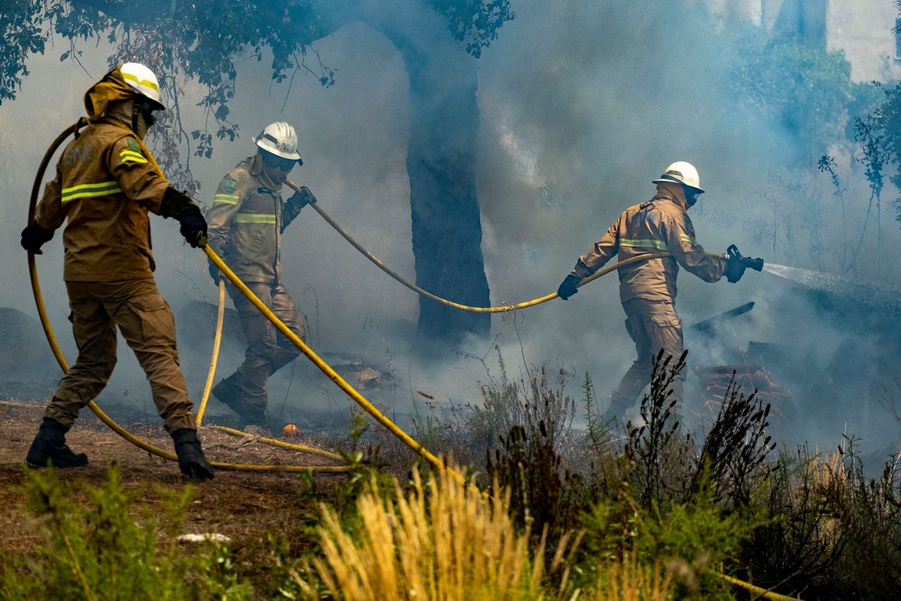 Firefighters battle wildfire in Portugal, 31 people hurt