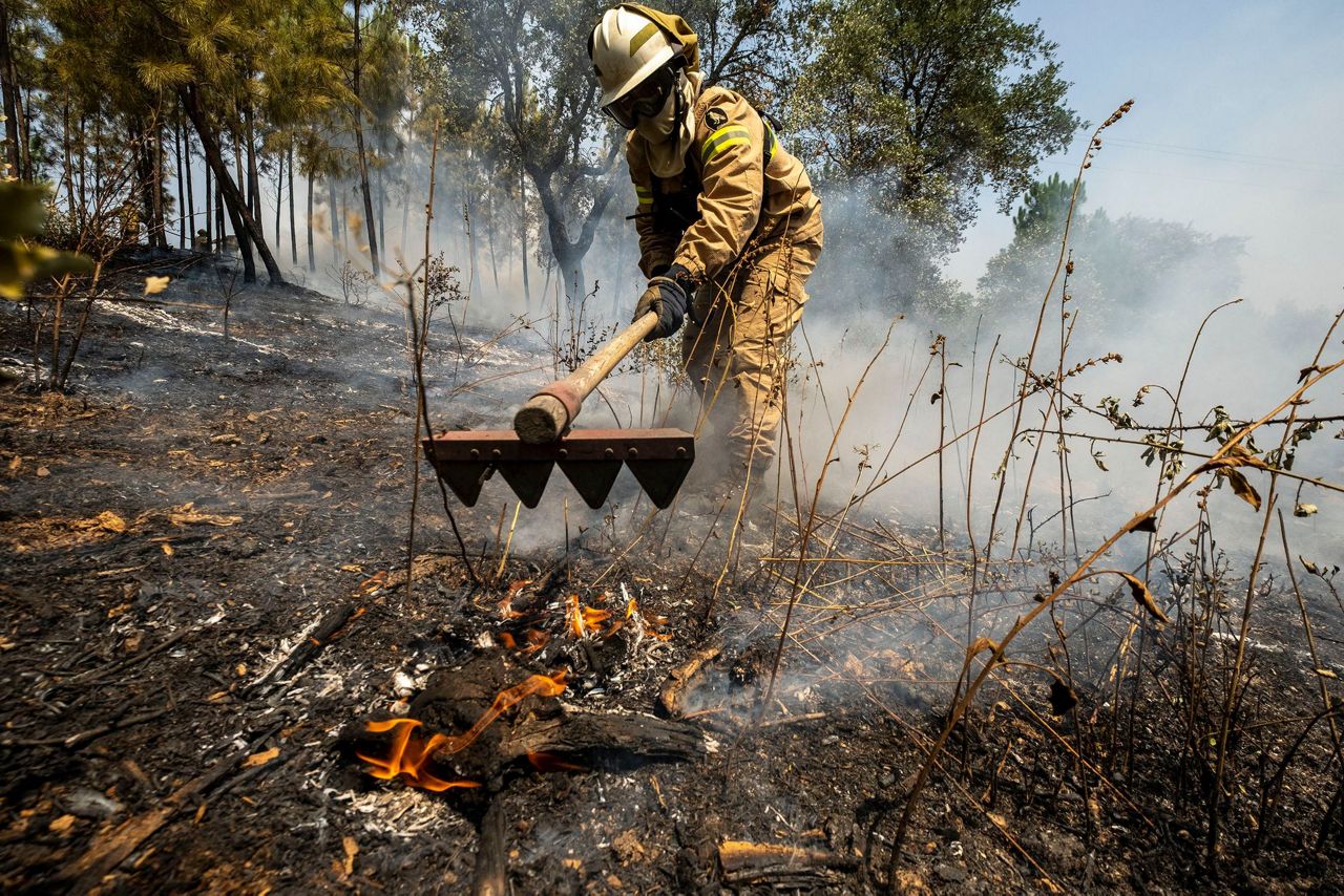 Firefighters battle wildfire in Portugal, 31 people hurt