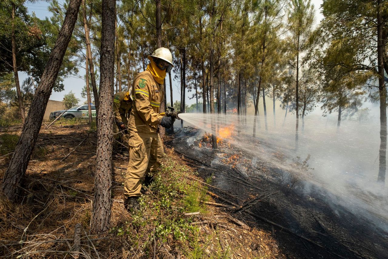 Firefighters battle wildfire in Portugal, 31 people hurt