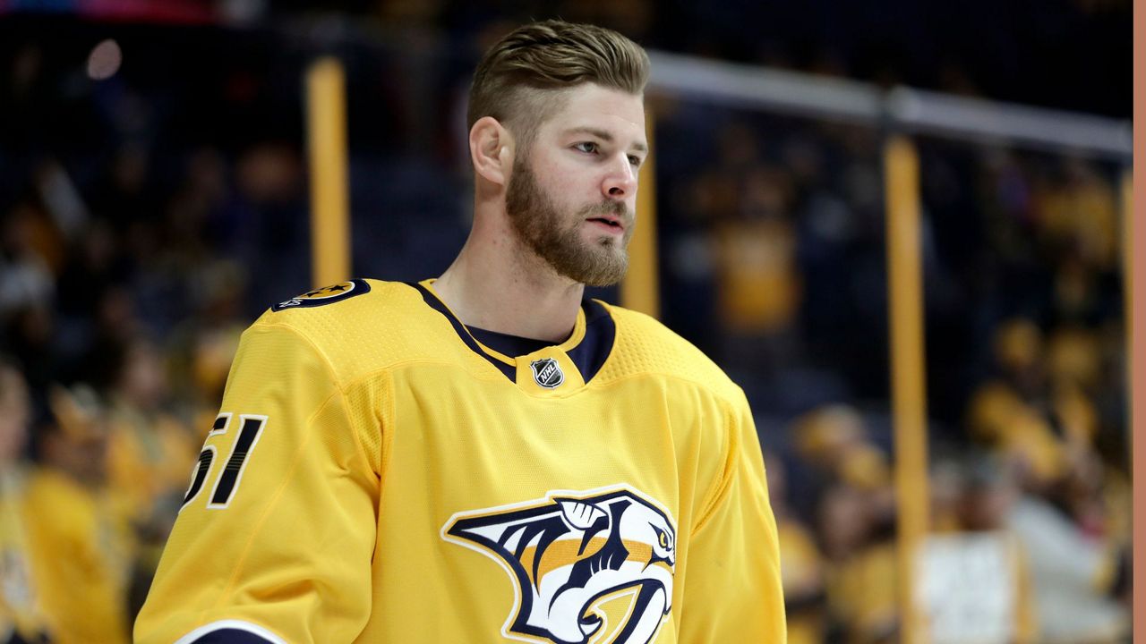 Predators player Austin Watson charged with domestic assault