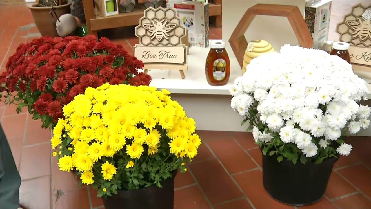 Fall gardening tips and protecting your plants from the cold