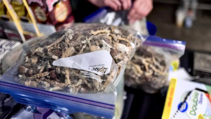 Do terminal patients have the right to try magic mushrooms?