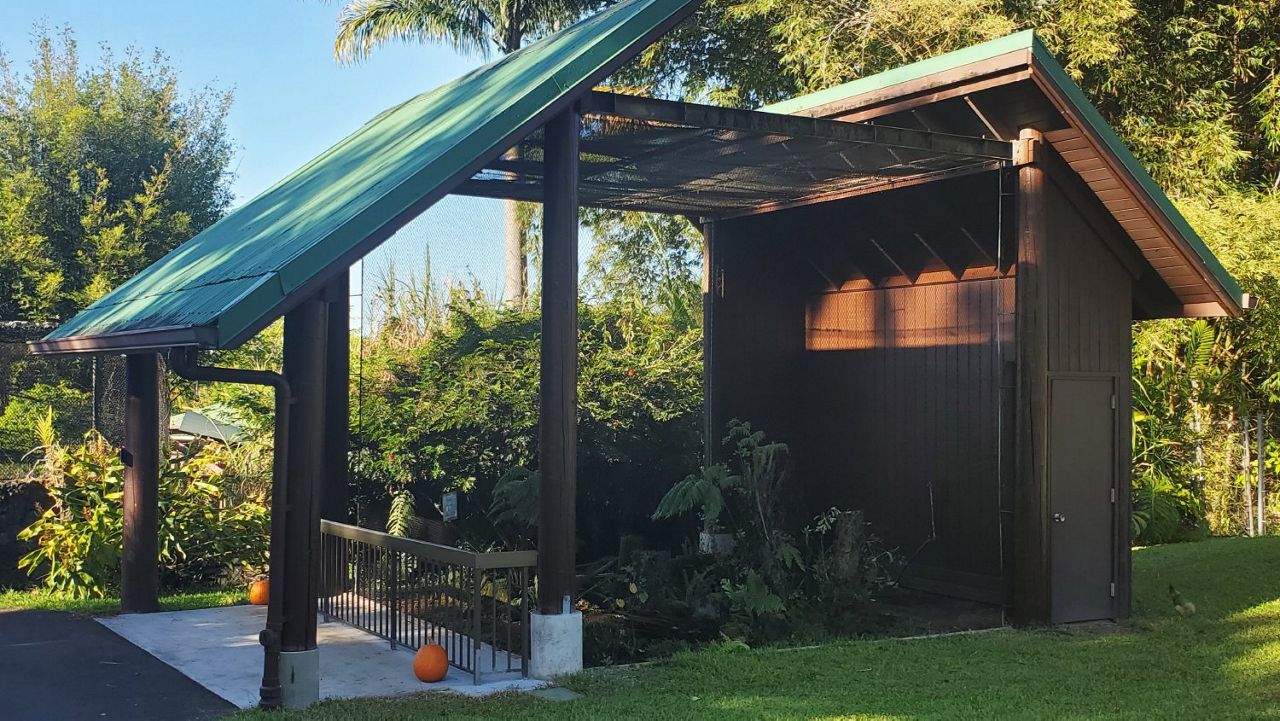 Panaewa Zoo unveils its newly renovated pueo exhibit