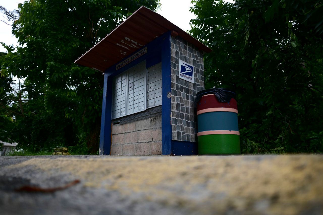 Navigating by mango trees, pink houses in rural Puerto Rico