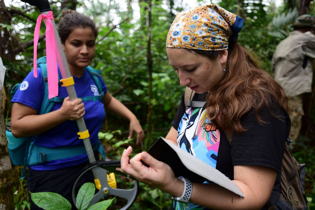 Scientists work to save wild Puerto Rican parrot after Maria