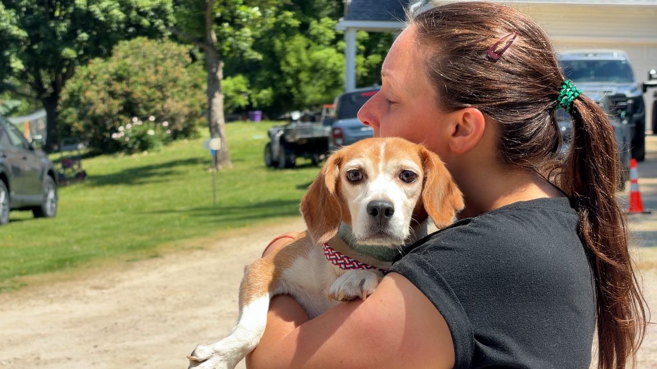 Dozens of dogs released from Ridglan Farms