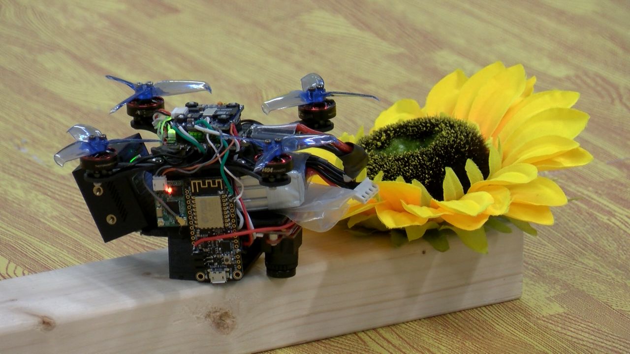 WPI engineers showcase 'Robo Bee' pollinator drone