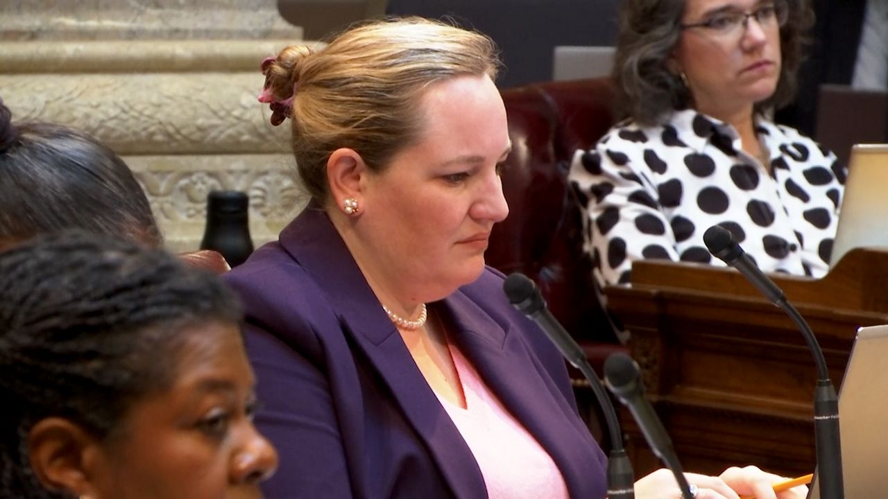 Sen. Democratic leader to run for county executive post