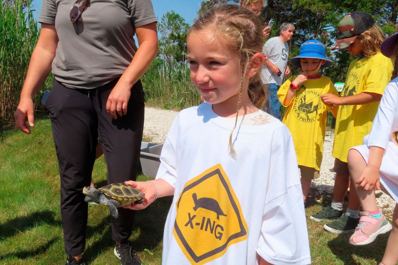 Happy together: Orphaned turtles and kids who set them free