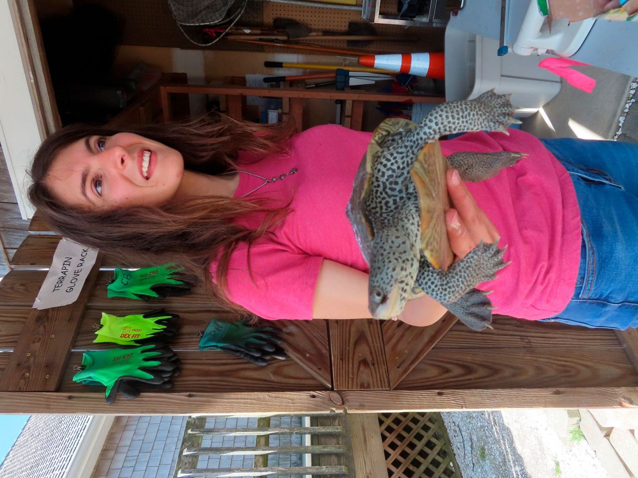 Happy together: Orphaned turtles and kids who set them free