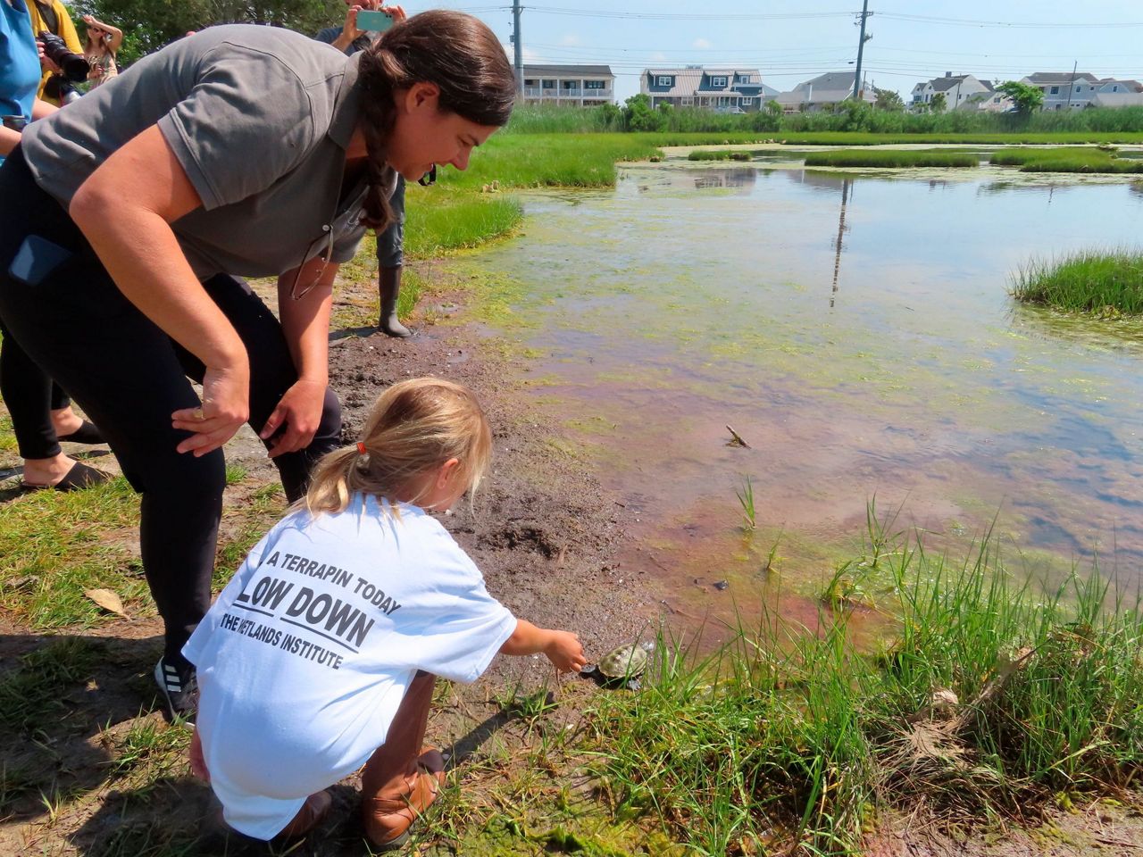 Happy together: Orphaned turtles and kids who set them free