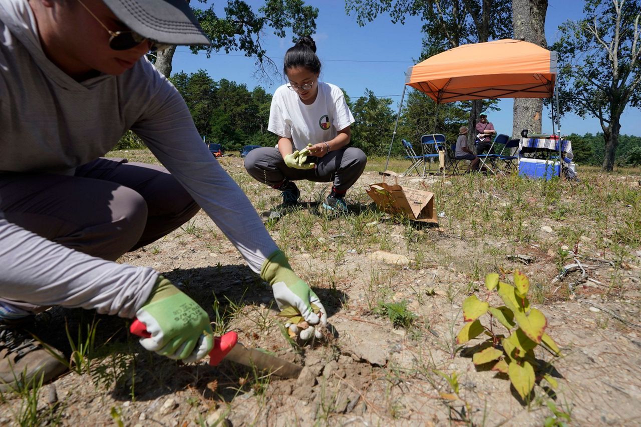Native groups seek to repair lands damaged by colonization