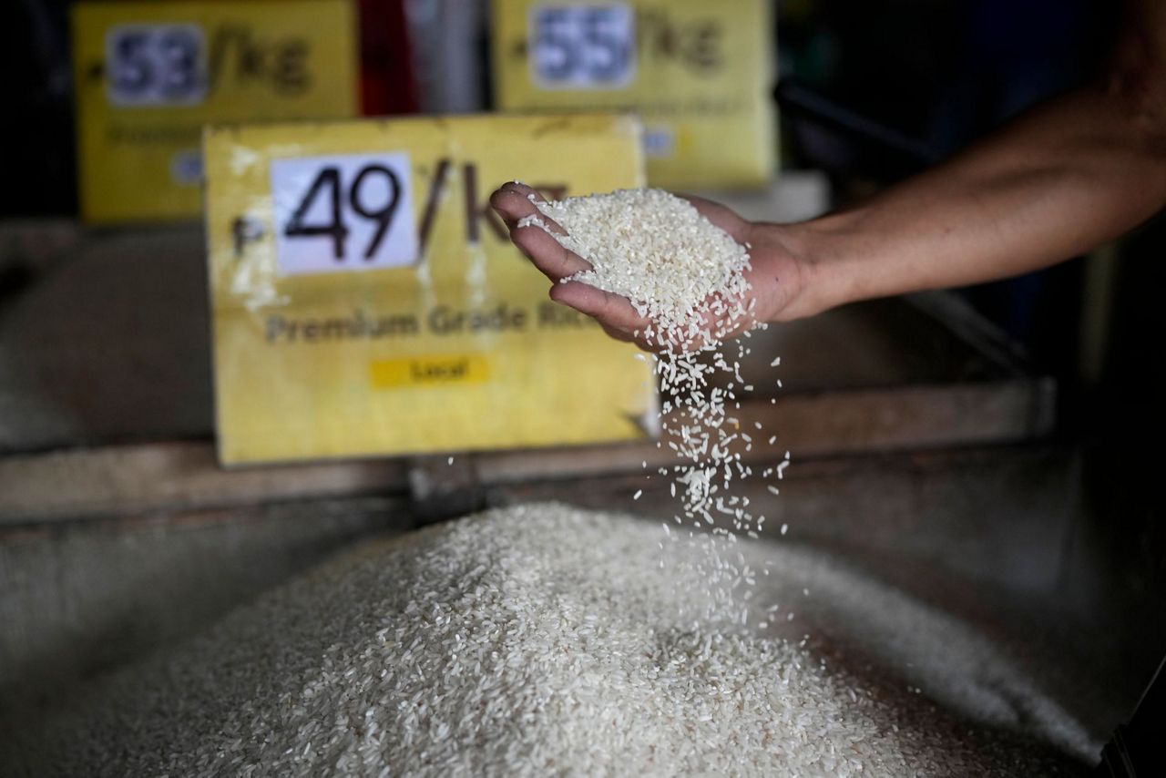 Global food security is at crossroads as rice shortages and surging ...