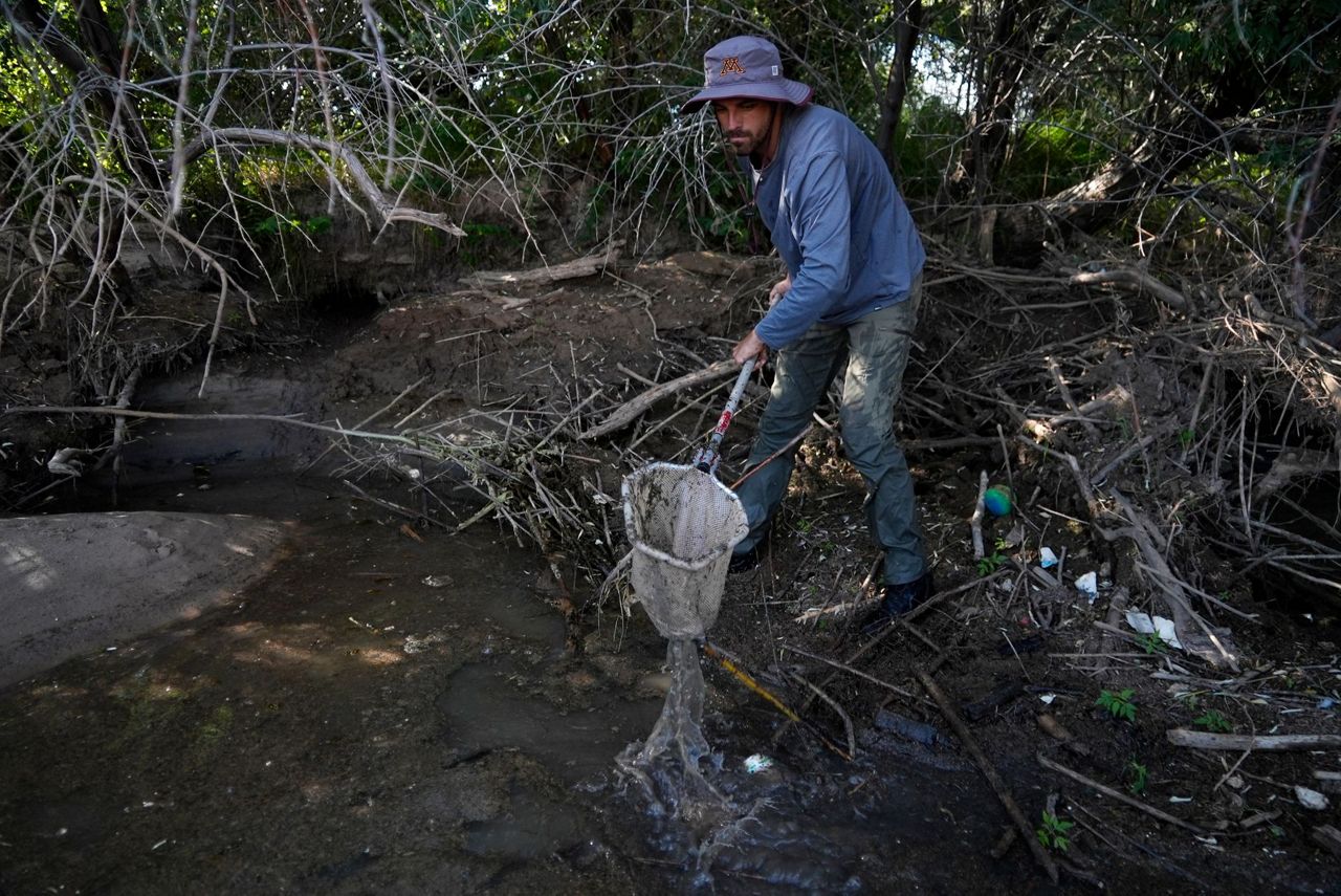 A race to save fish as Rio Grande dries, even in Albuquerque