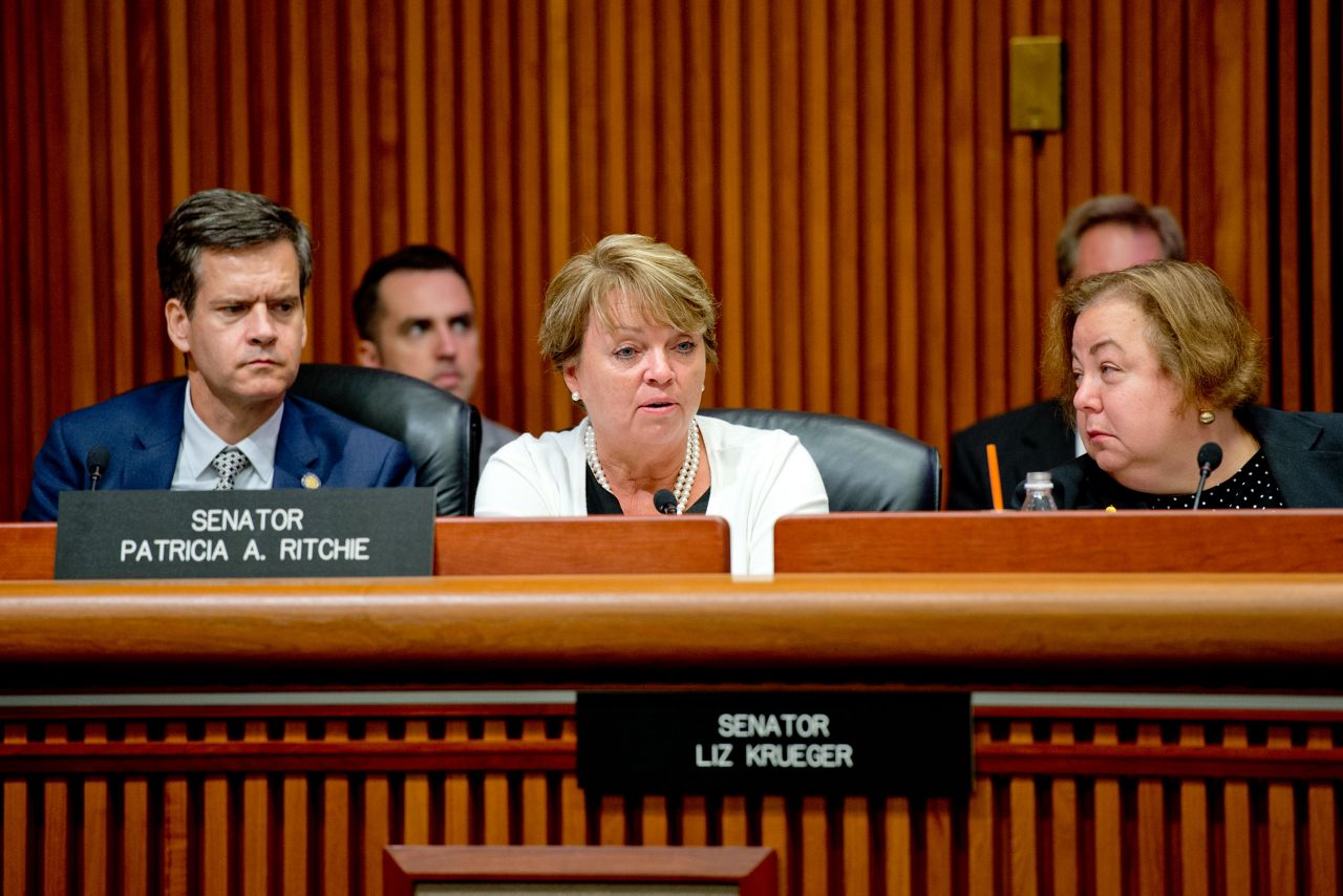 Senator Ritchie Speaks at Water Quality Hearing in Albany