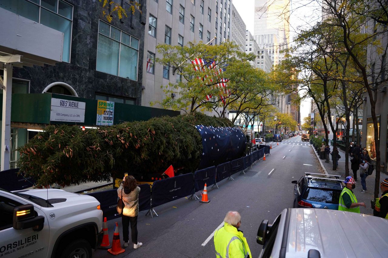Home for the holidays: Rockefeller tree arrives in NYC