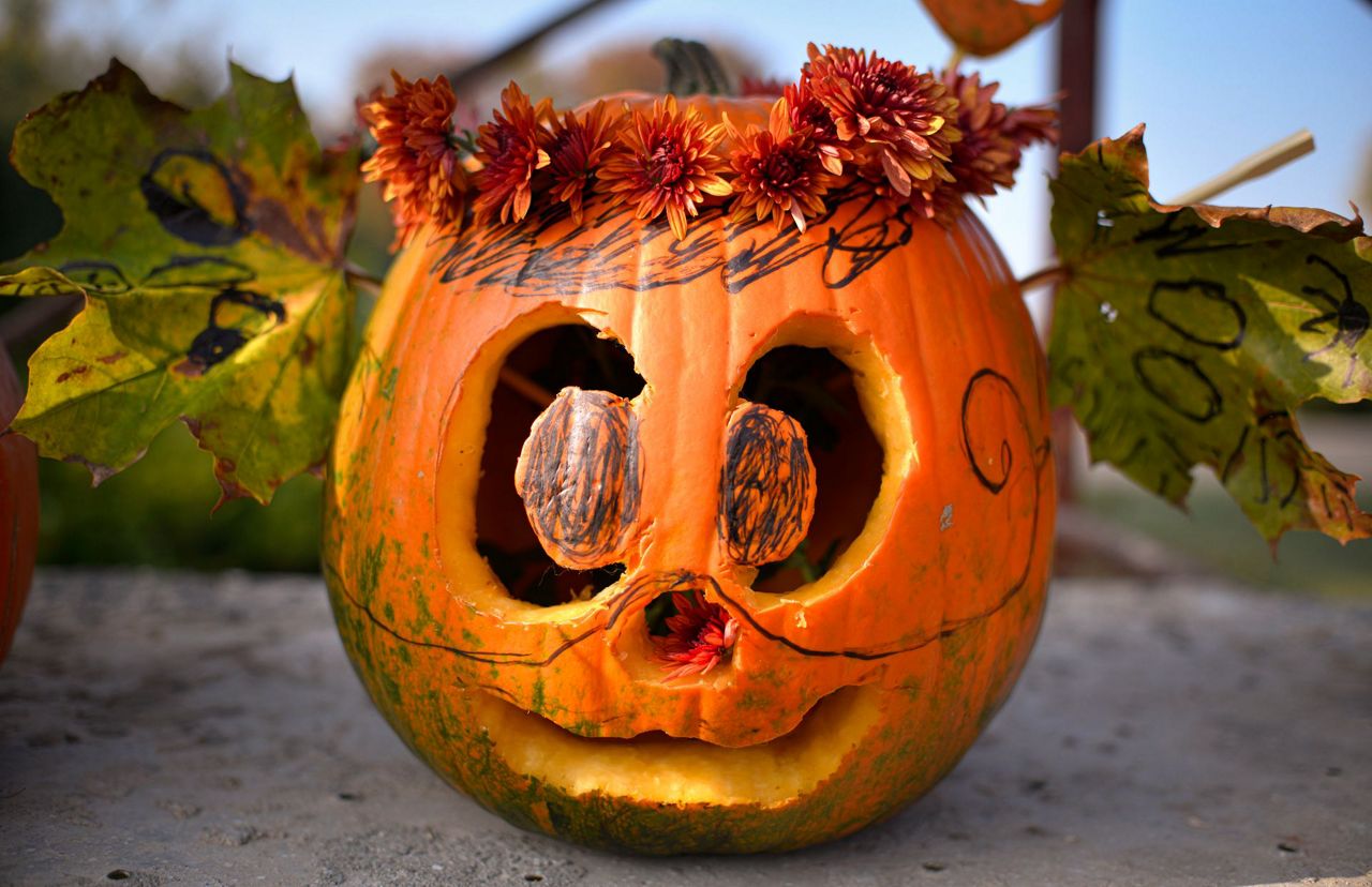 AP PHOTOS: Romania hosts carving of over 30,000 pumpkins